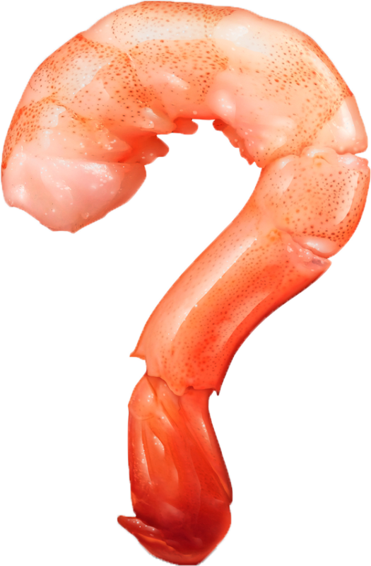 shrimpquestion - American Shrimp Processors' Association